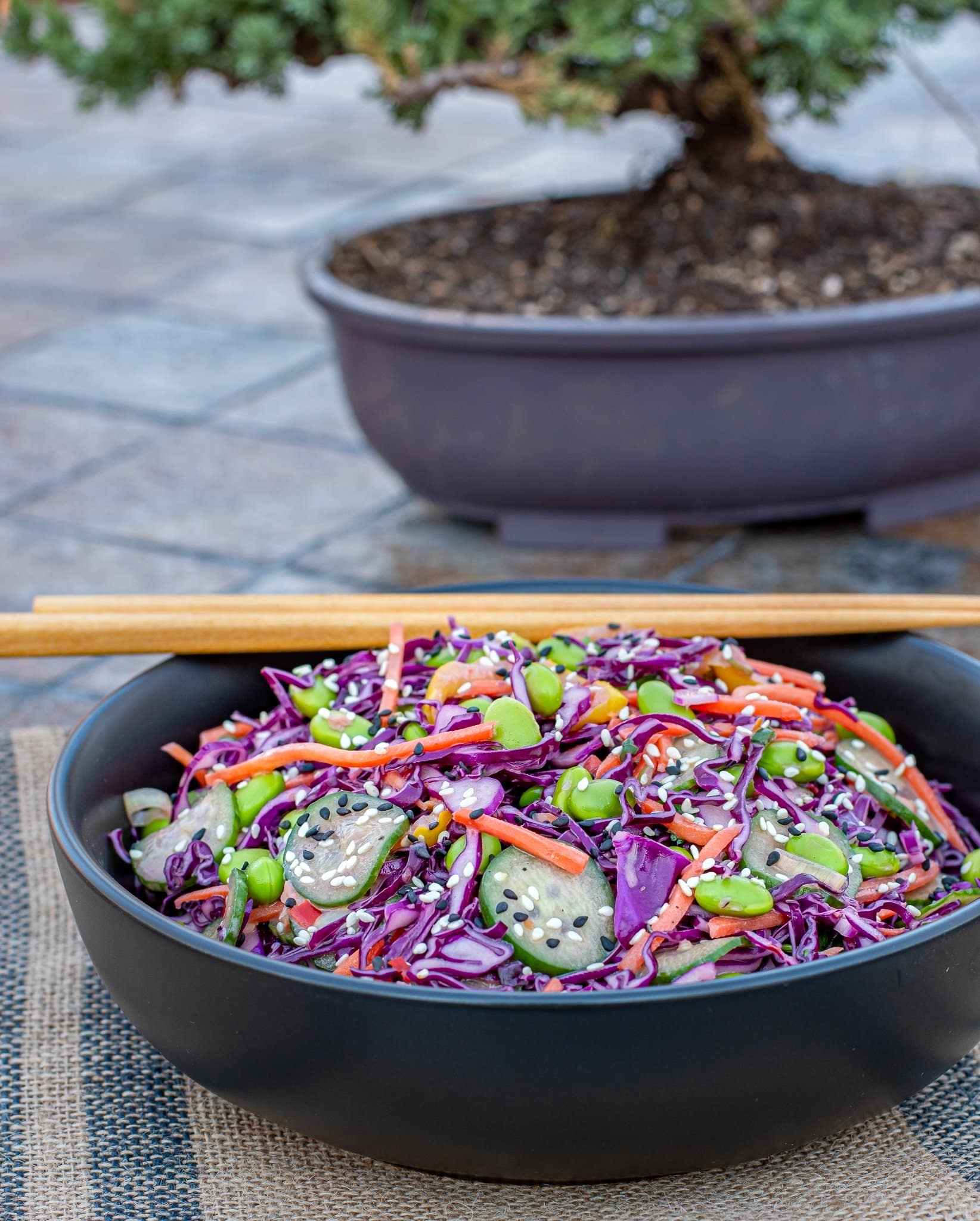 Asian Red Cabbage Slaw w/ Cilantro Lime Dressing - Culinary Lion